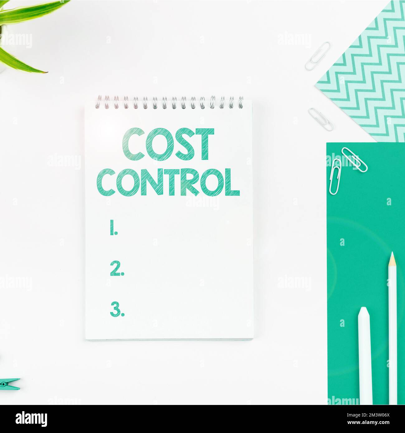 Conceptual display Cost Control. Internet Concept practice of ...