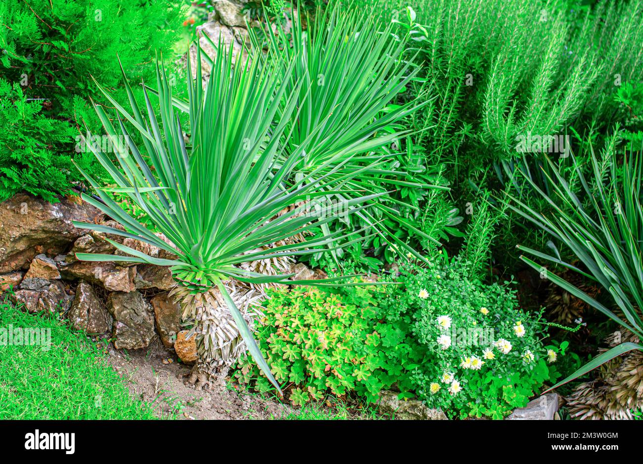 Alpine slide hi-res stock photography and images - Alamy