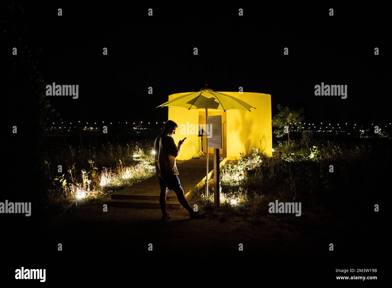 Pattaya, Bangkok, Thailand. 16th Dec, 2022. FLOWER OBSESSION (SUNFLOWER ...