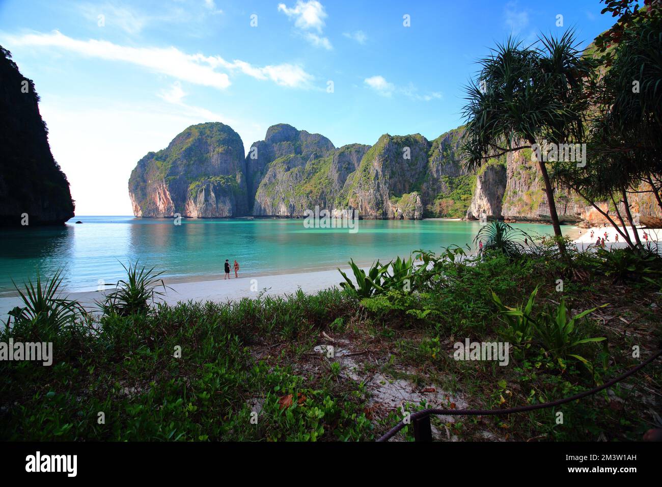 Newly opened Maya Bay, Koh Phi Phi, Thailand Stock Photo - Alamy