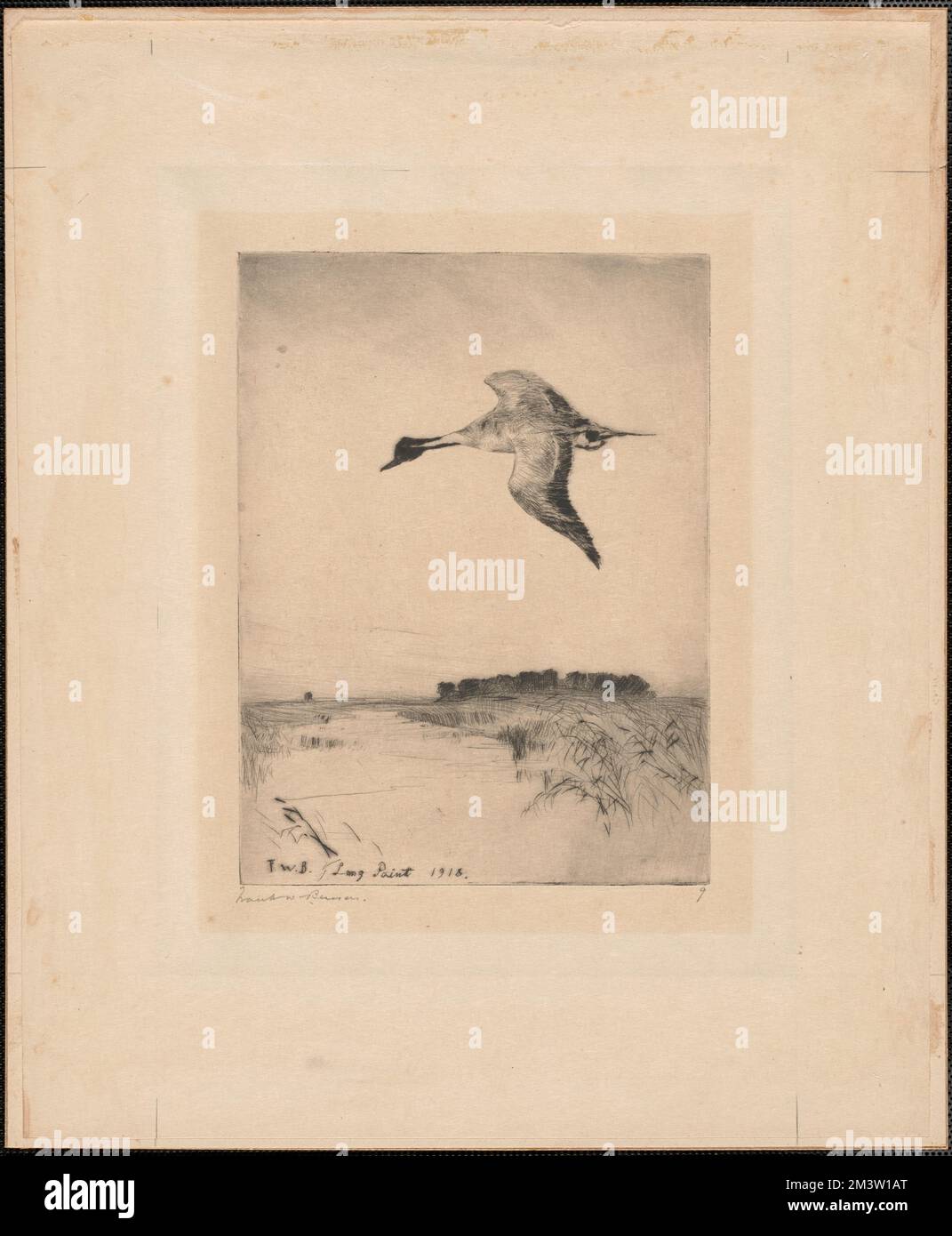 Souvenir of Long Point, 1918 , Birds, Flying, Wetlands. Frank W. Benson ...