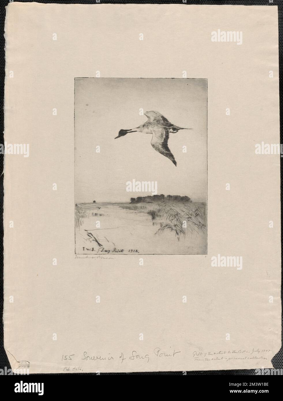 Souvenir of Long Point, 1918 , Birds, Flying, Wetlands. Frank W. Benson ...