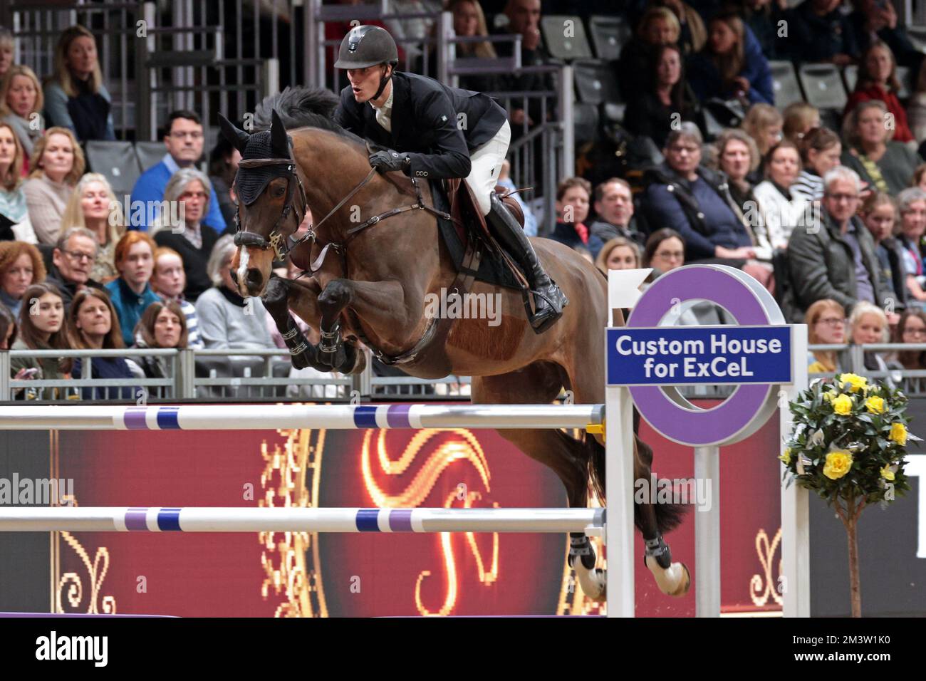 Horse emmerton hi-res stock photography and images - Alamy