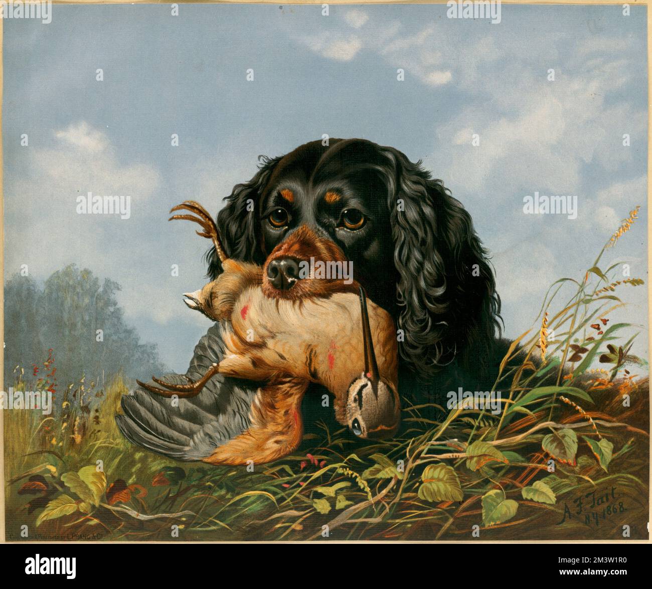 Spaniel and woodcock , Dogs, Woodcocks, Dead animals. Louis Prang ...