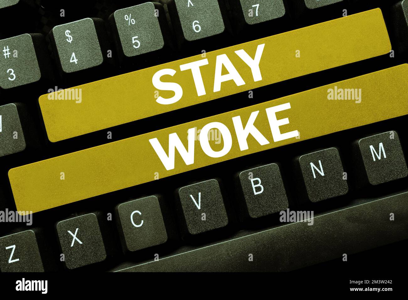 Sign displaying Stay Woke. Word Written on being aware of your ...