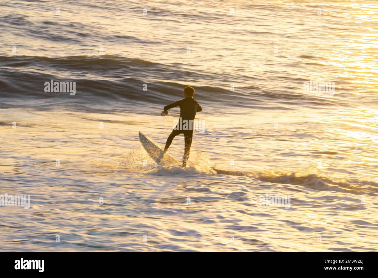Back-lit and unrecognizable surfer in golden glow of evening light at ...