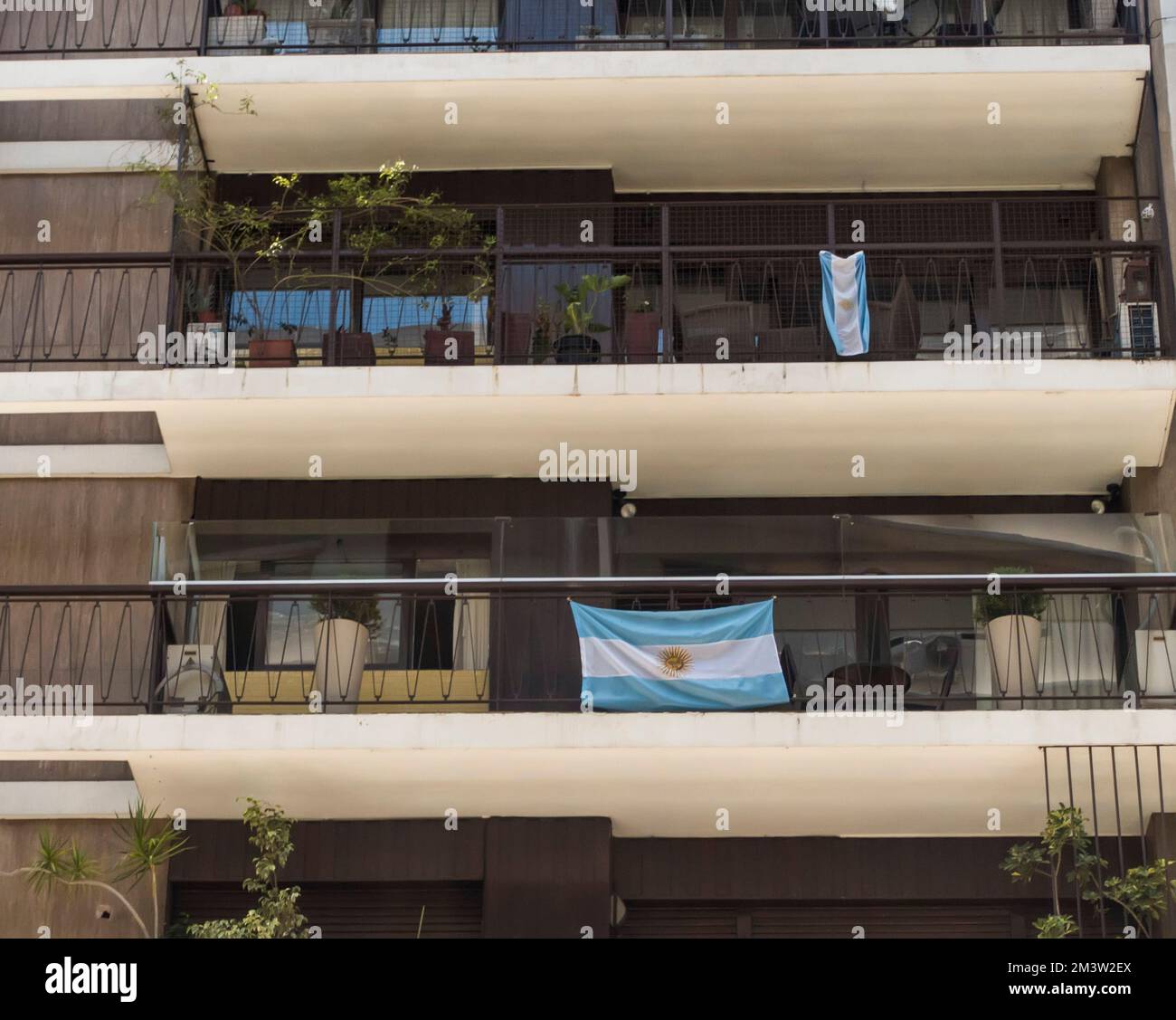 Argentina 2022 world cup celebration hi-res stock photography and ...
