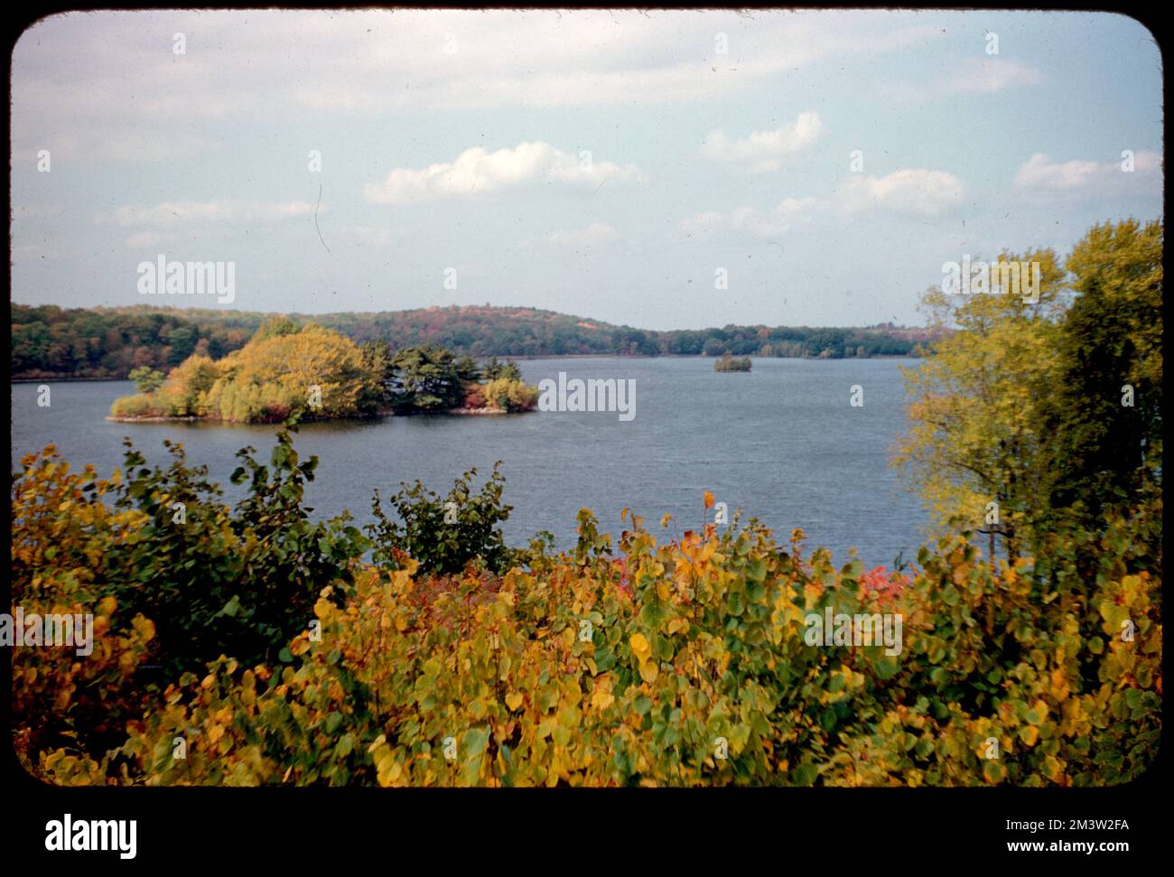 Spot Pond , Lakes & ponds. Edmund L. Mitchell Collection Stock Photo ...