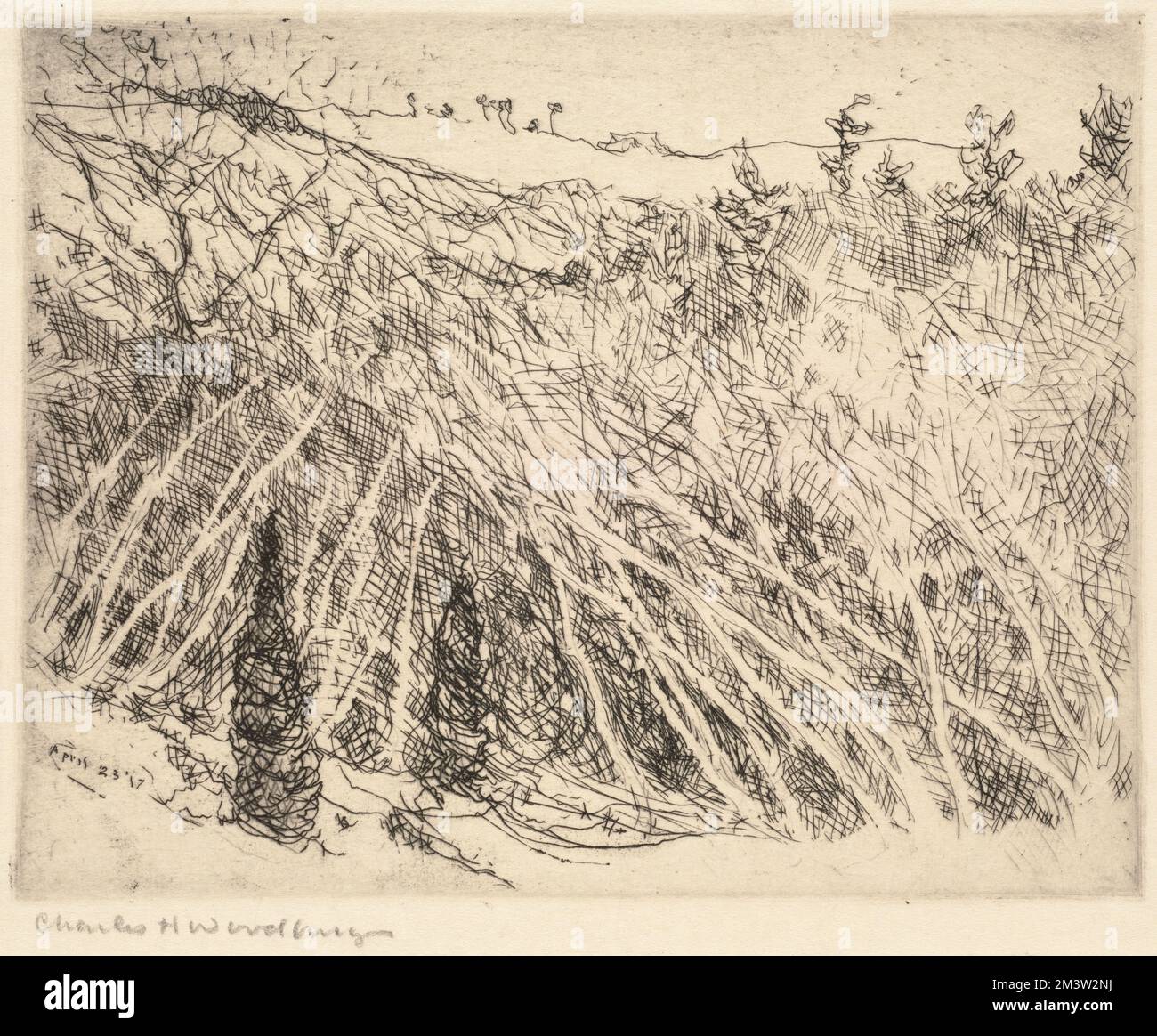 Spring tangle , Trees. Charles H. Woodbury (1864-1940). Prints Stock ...