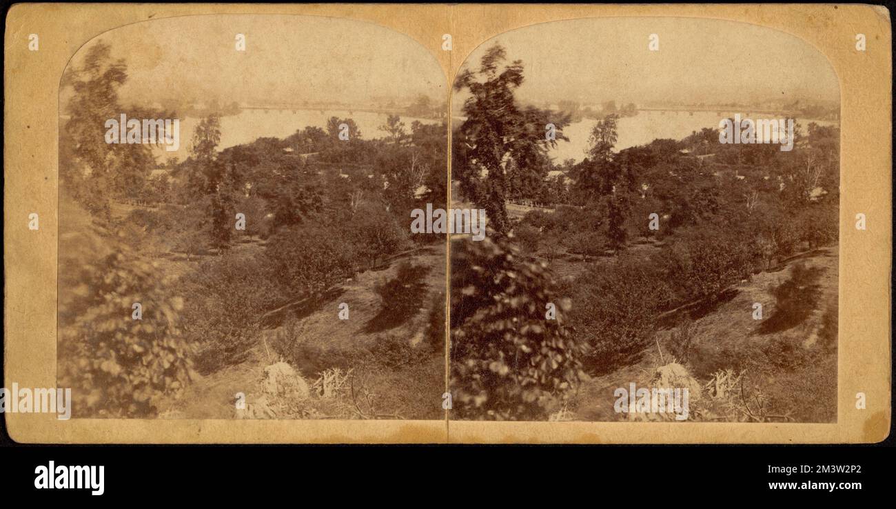 Springfield Mass , Trees Stock Photo - Alamy