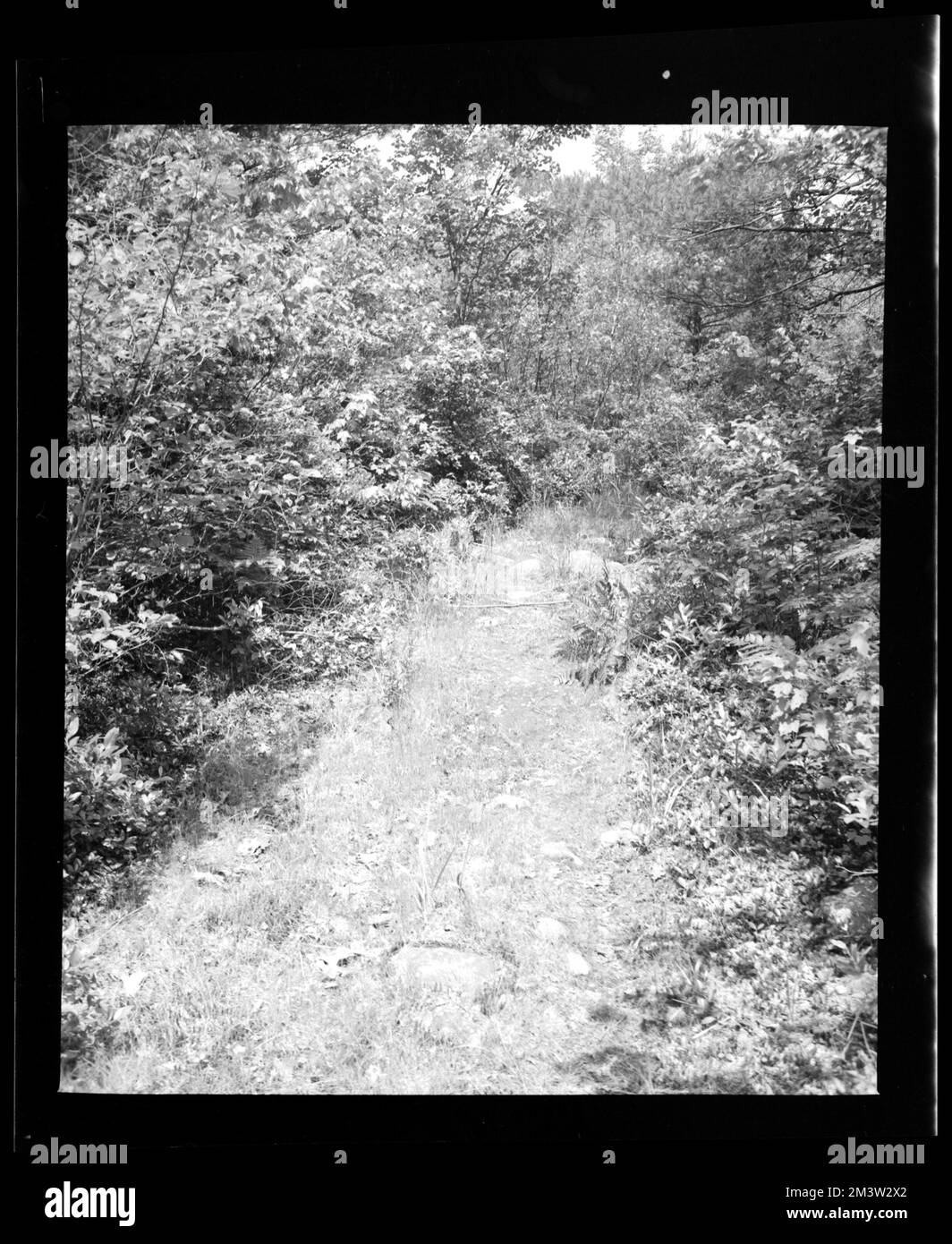 Squantum Ma , Trails & paths. Photographs of the First Naval District ...