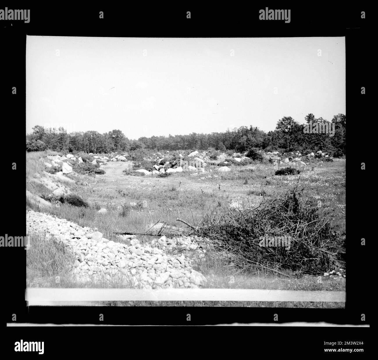 Squantum hi-res stock photography and images - Alamy
