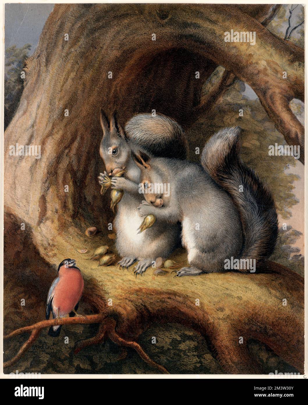 The squirrels and bird under a tree , Birds, Squirrels. Louis Prang ...