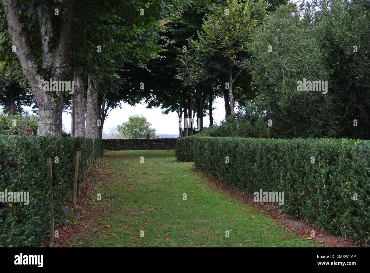 A greenery corridor under trees in the historical landmark Pazo de Oca ...