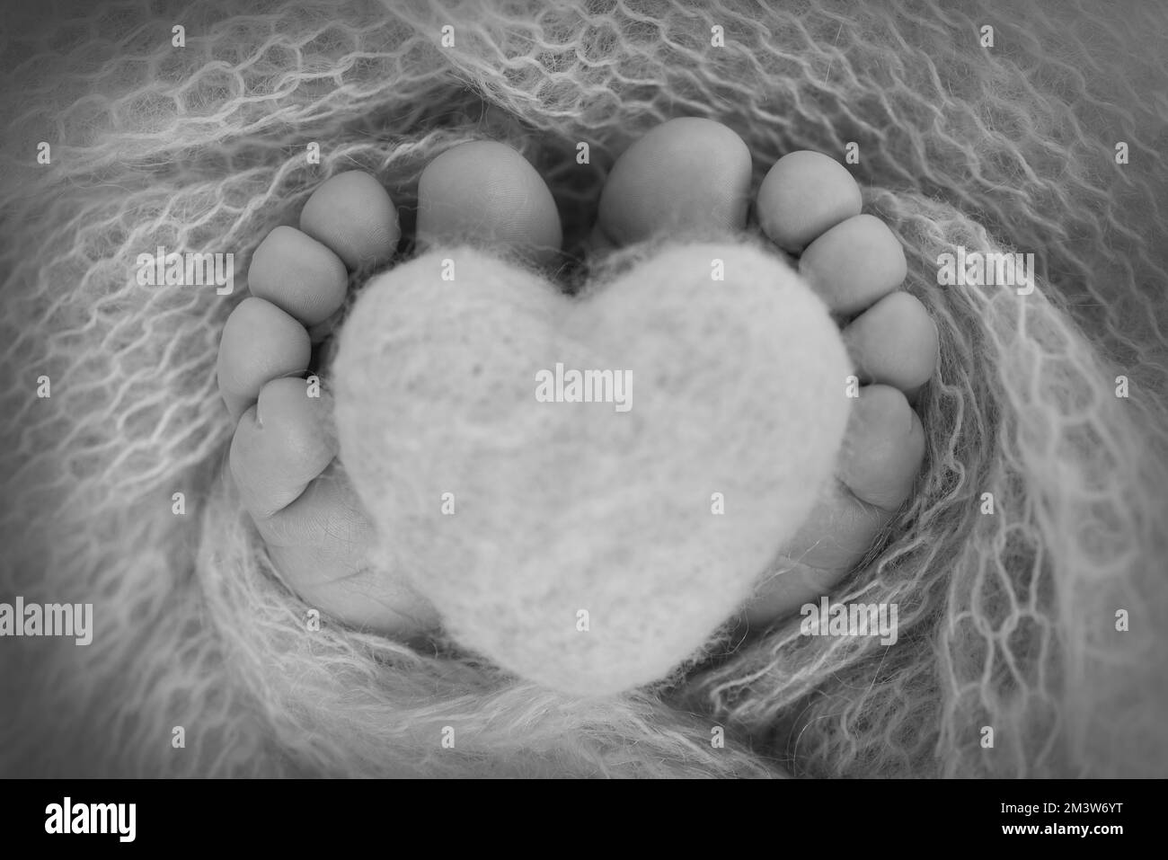 The tiny foot of a newborn baby. Soft feet of a new born in a wool ...