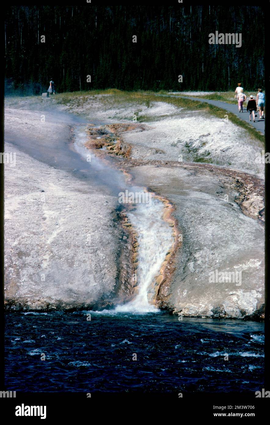 Steam rising from waterfall by path and forest, Yellowstone National ...