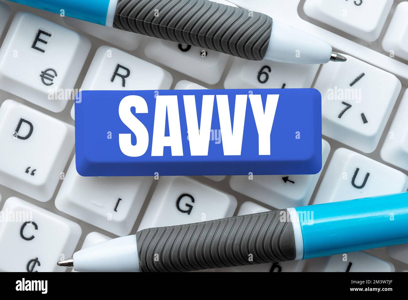 Handwriting text Savvy. Concept meaning having perception ...