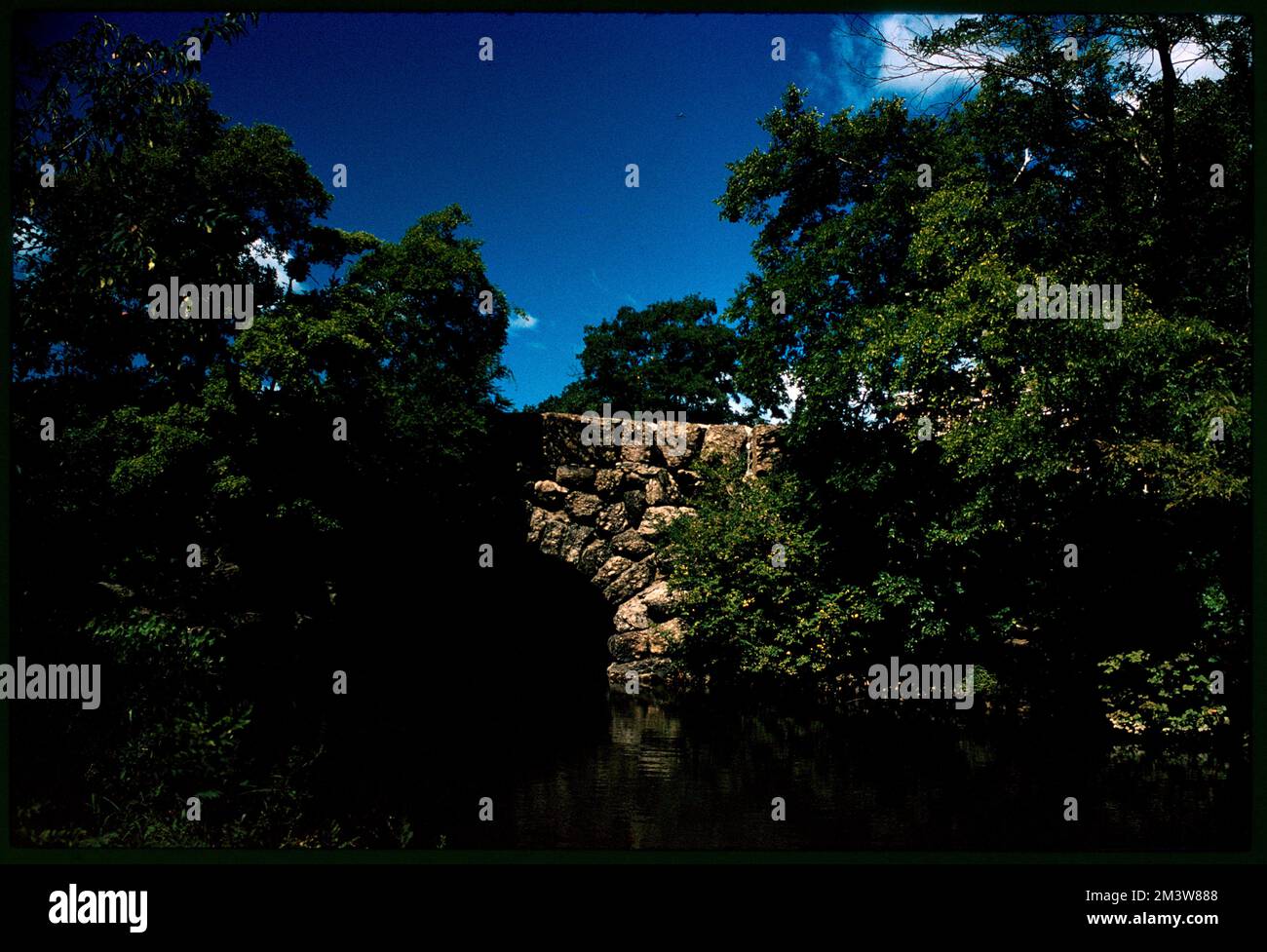 Stone bridge and trees, Back Bay Fens, Boston , Stone bridges, Bodies ...