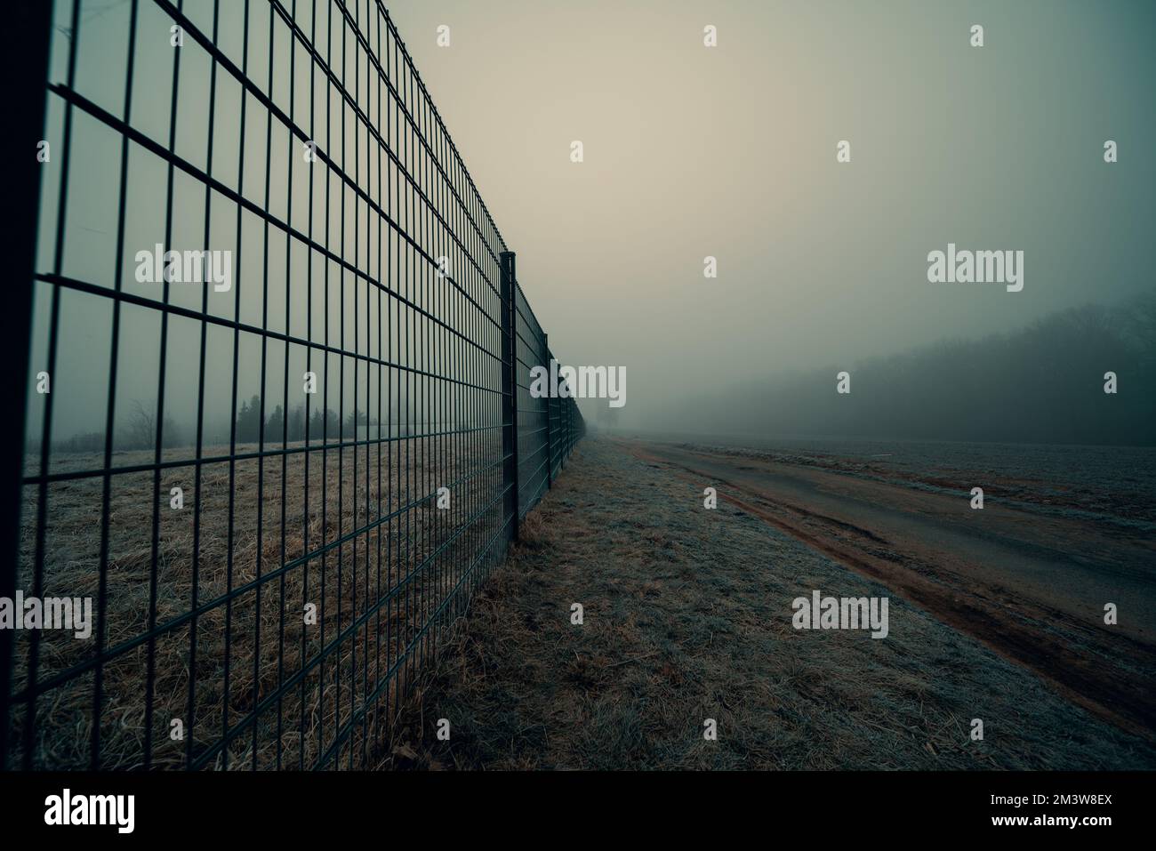 Mesh fence tree green hi-res stock photography and images - Alamy
