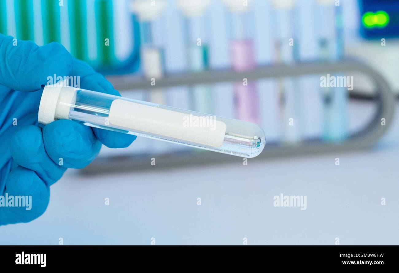Empty chemical test tube hi-res stock photography and images - Alamy