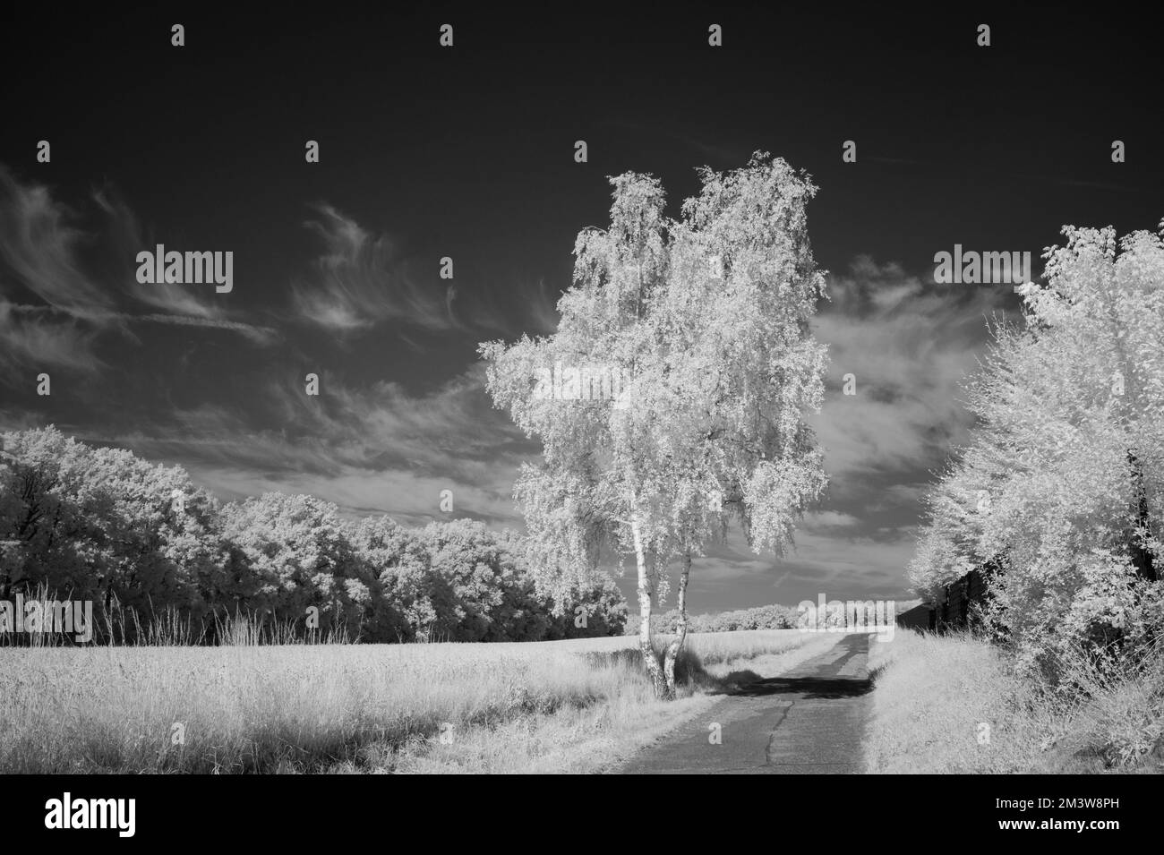 Rural landscape, infrared image Stock Photo - Alamy