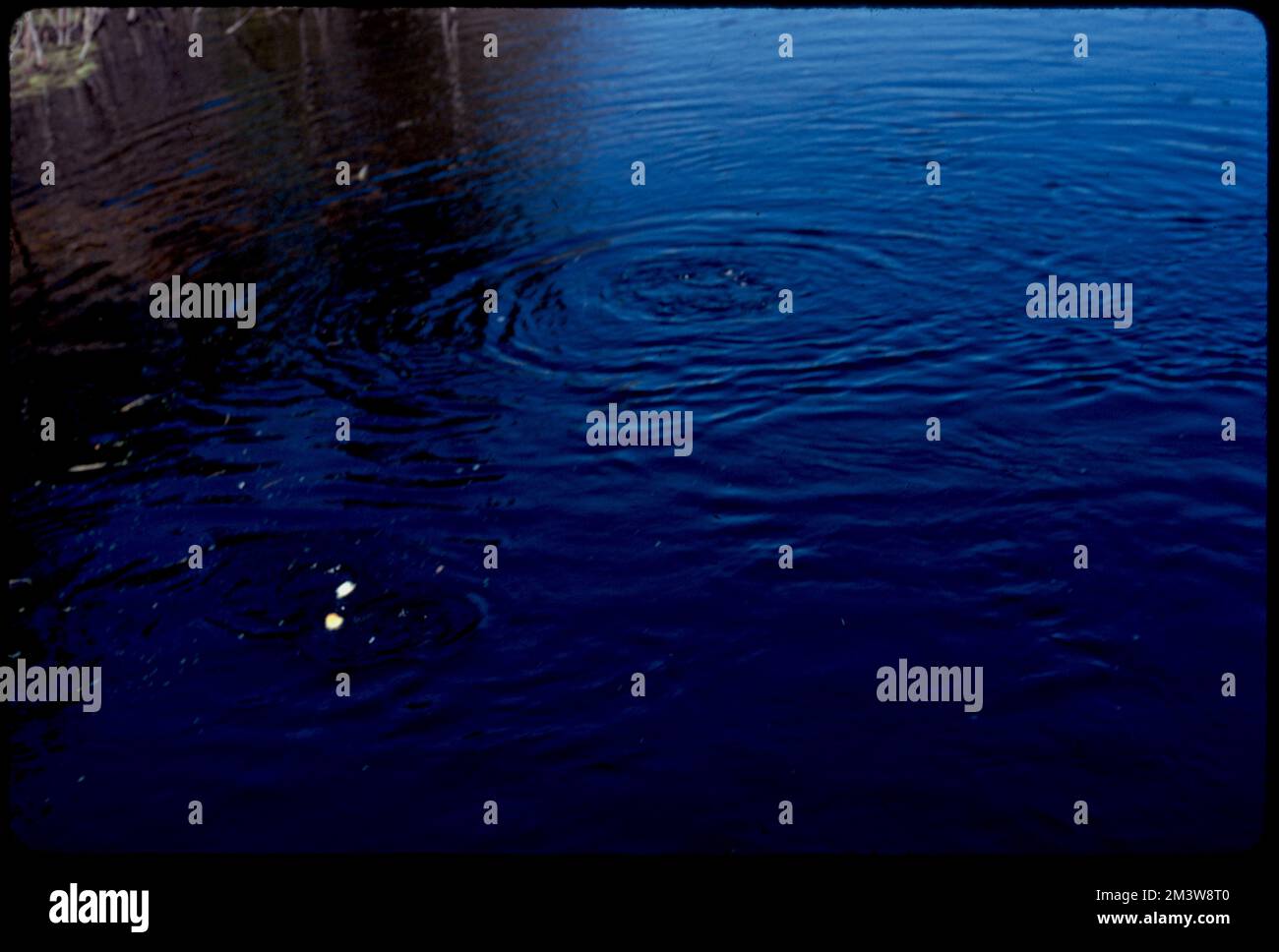 Stony Brook, branch of Charles River runs into Stop River, Blake ...