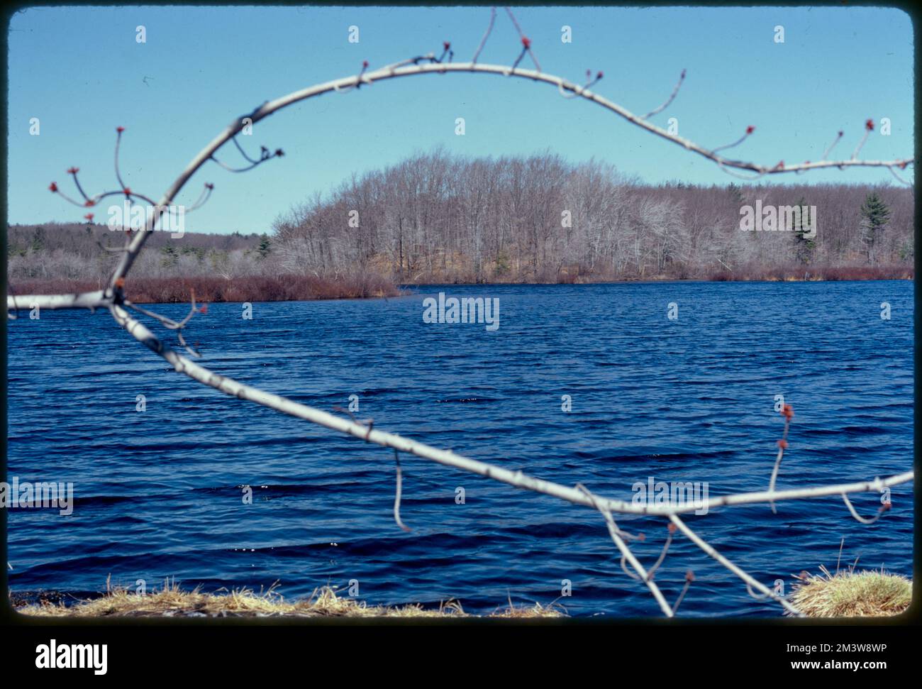 Stony Brook, branch of Charles River runs into Stop River, Blake ...