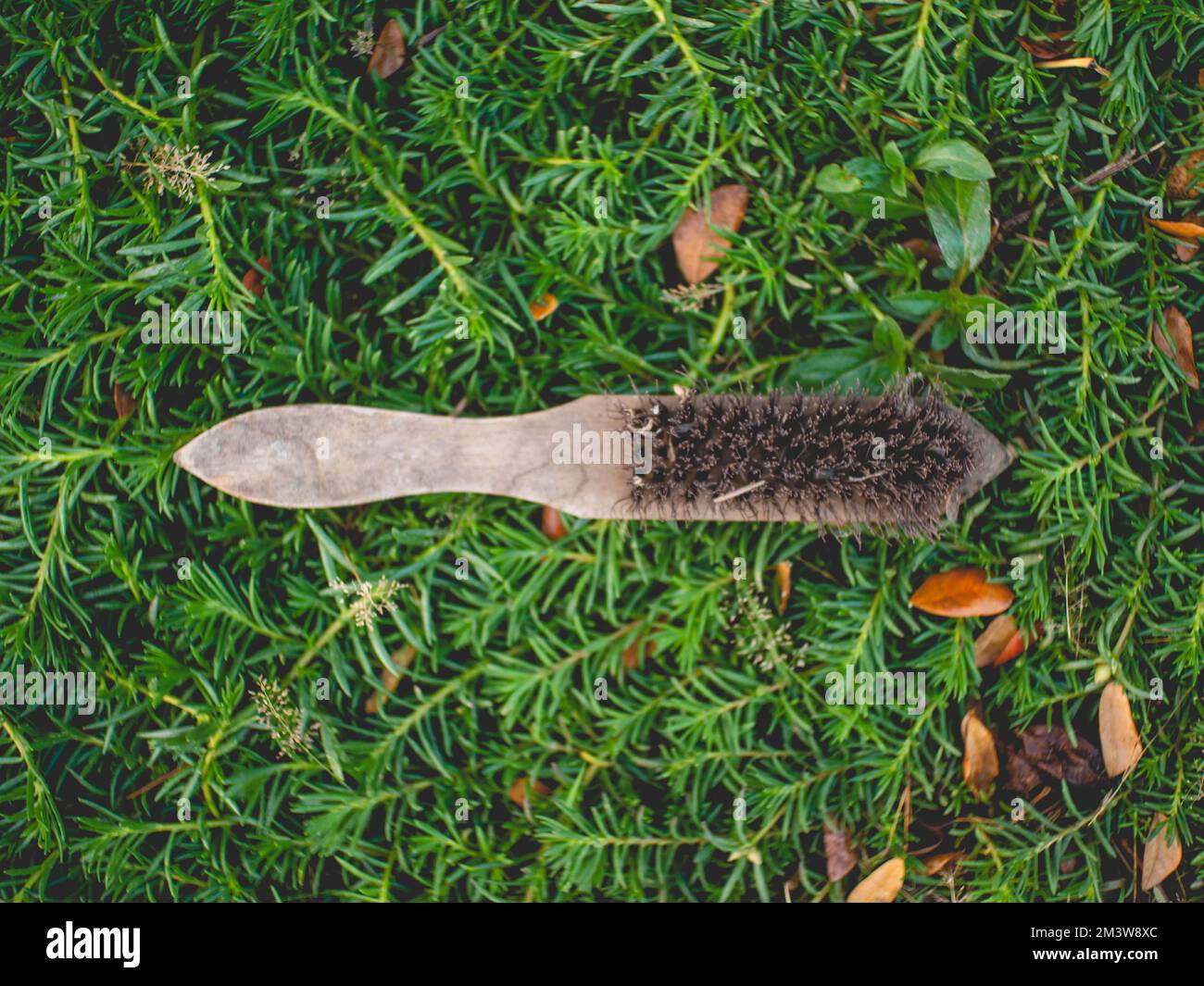 Wooden scrub brush with fast bristles and wooden handle Stock Photo - Alamy