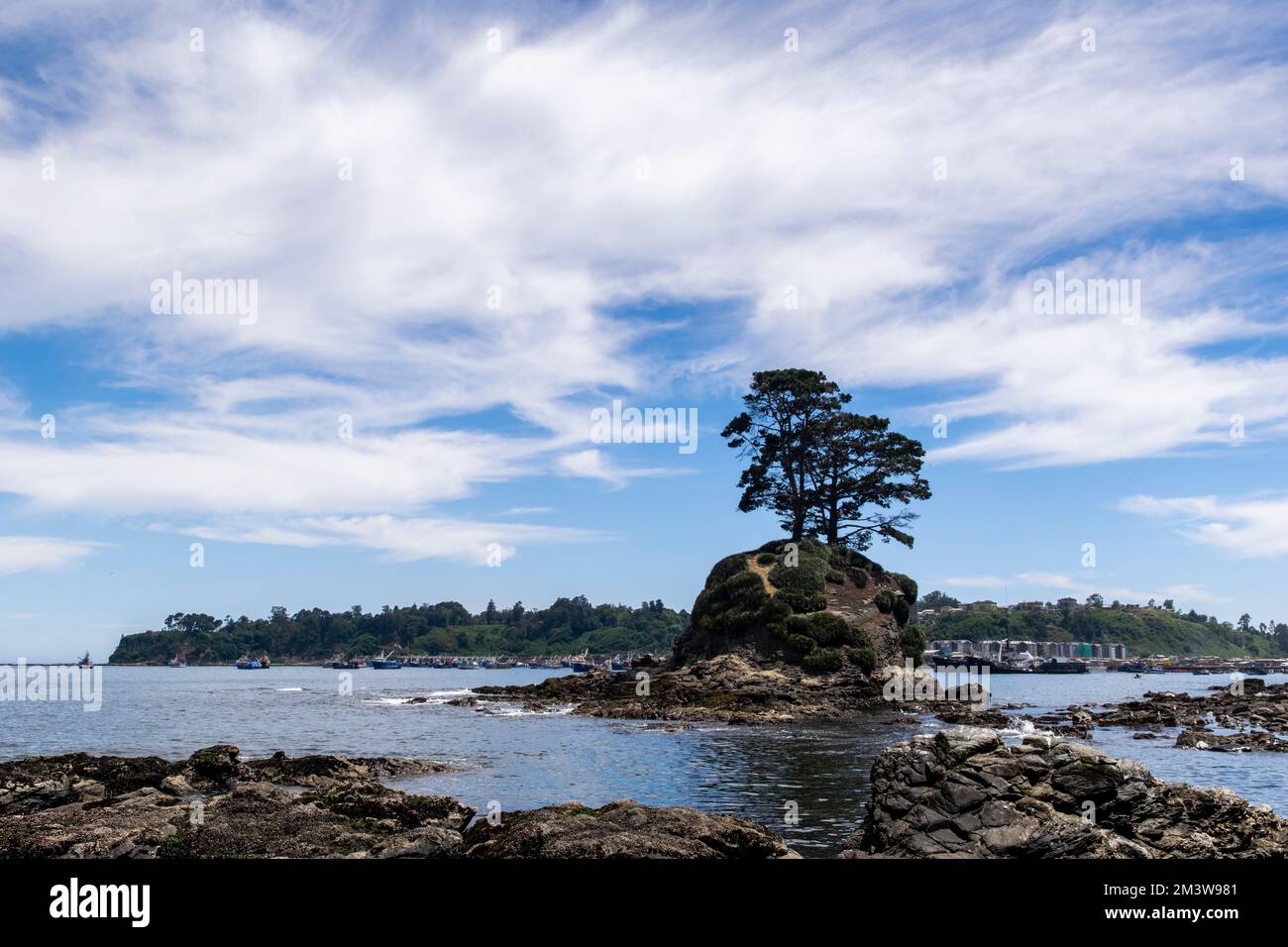 A lonely rock and tree at Fuerte Viejo cove, Lota, Chile Stock Photo ...