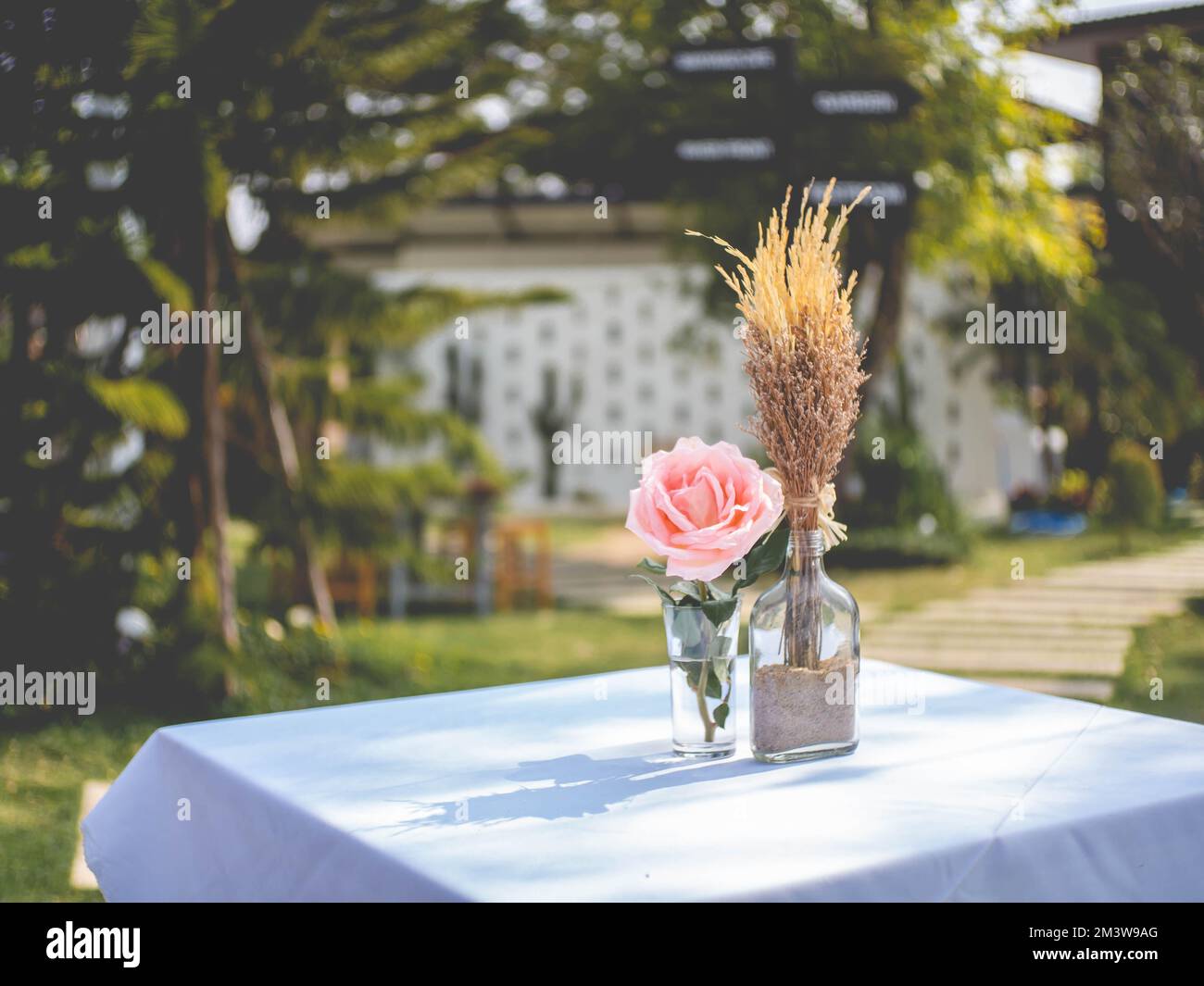 Pink roses on the dining table beside the water Stock Photo - Alamy