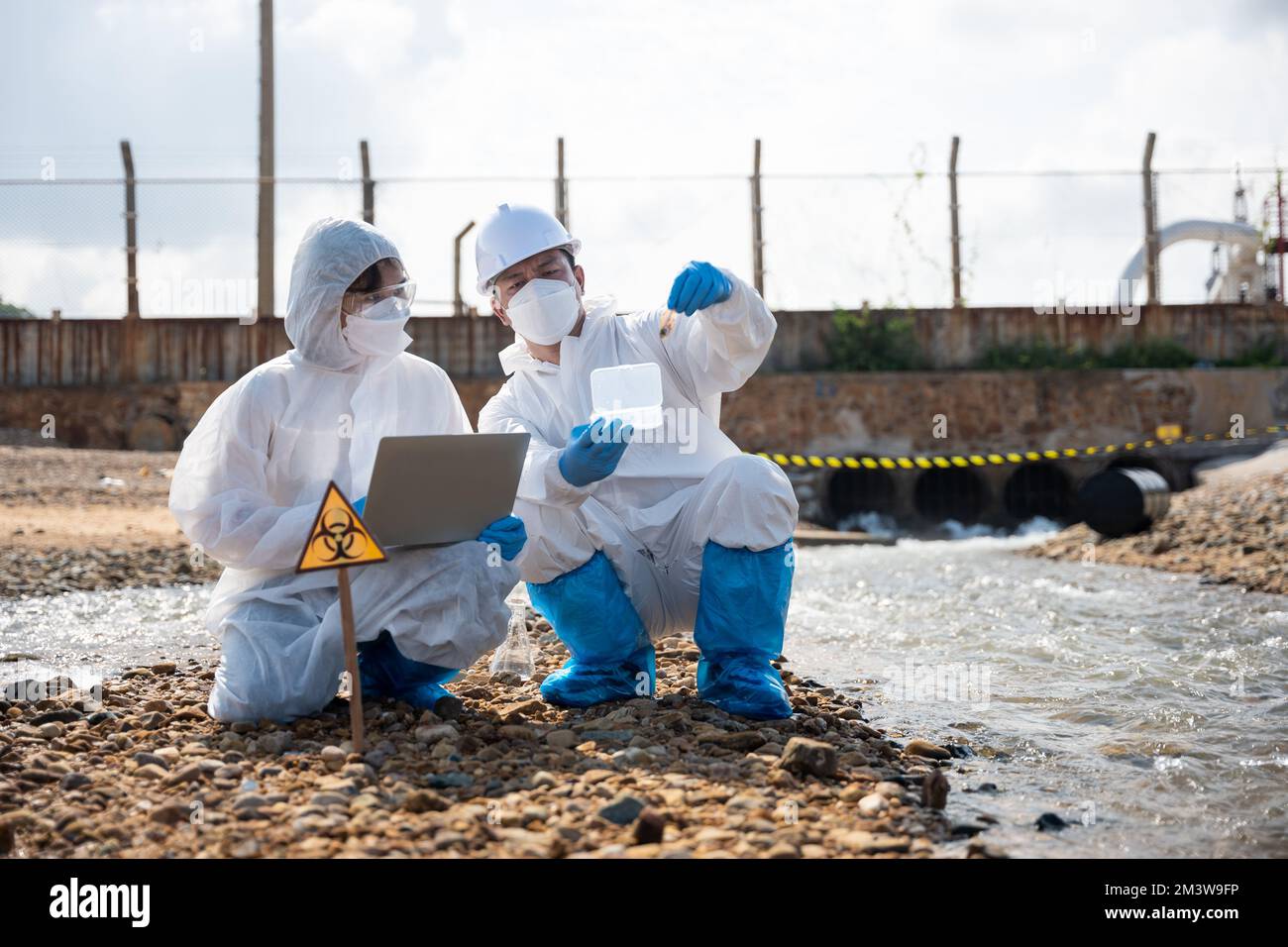 Ecologist sampling taken dead fish to inspaction and save data to ...
