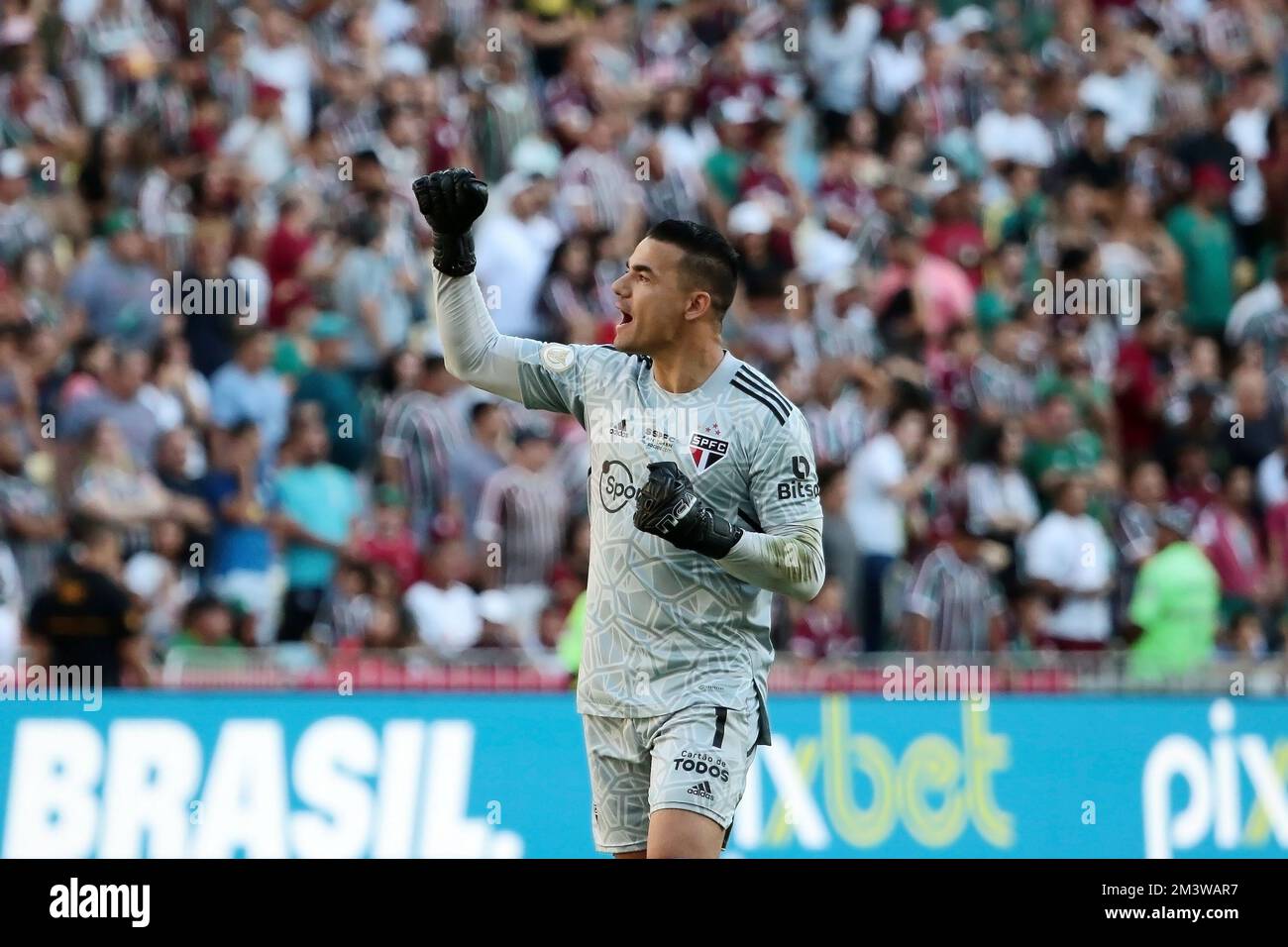 Rio de Janeiro, Brazil,November 5, 2022. Soccer goalkeeper Felipe Alves ...