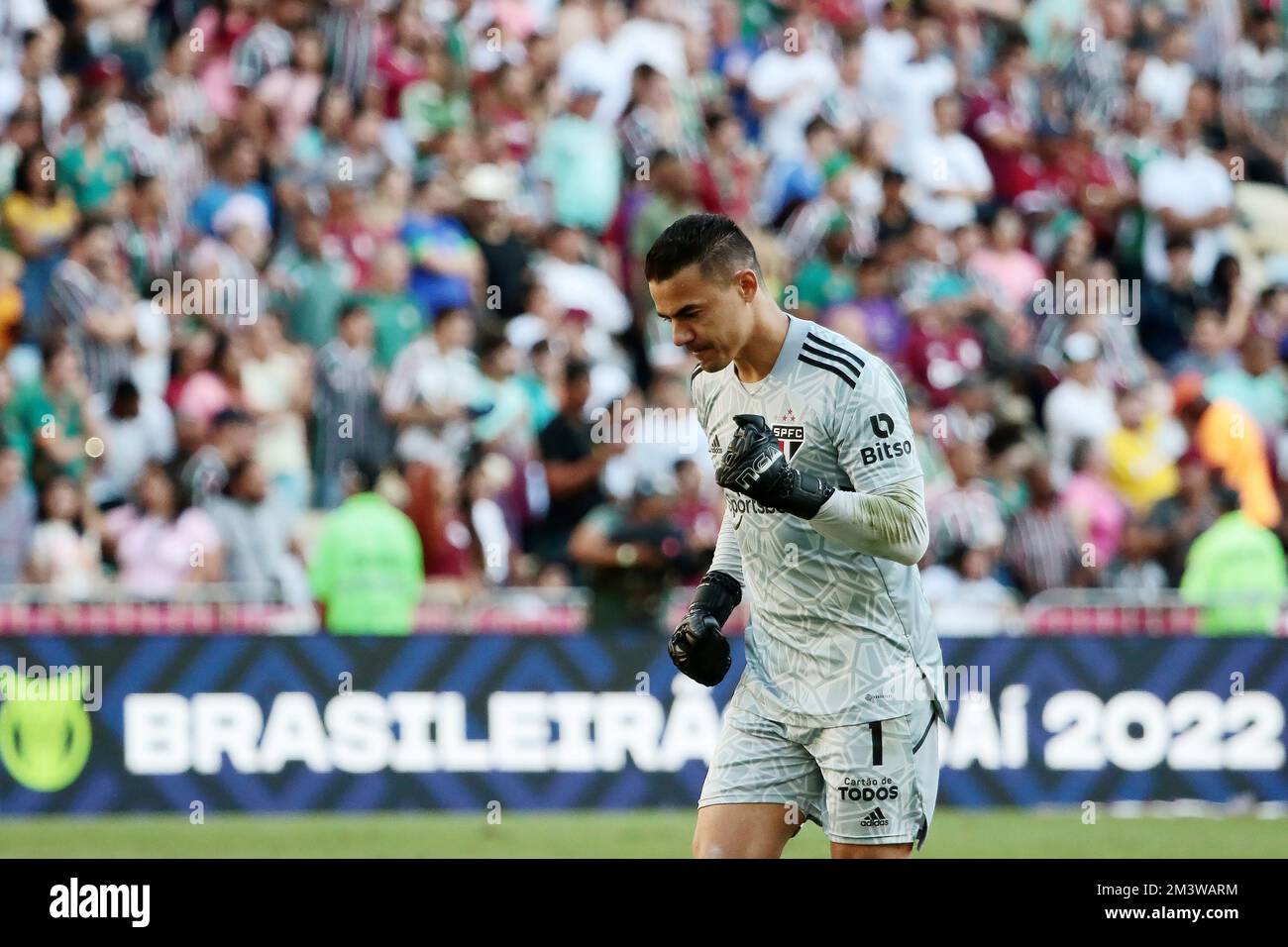 Rio de Janeiro, Brazil,November 5, 2022. Soccer goalkeeper Felipe Alves ...