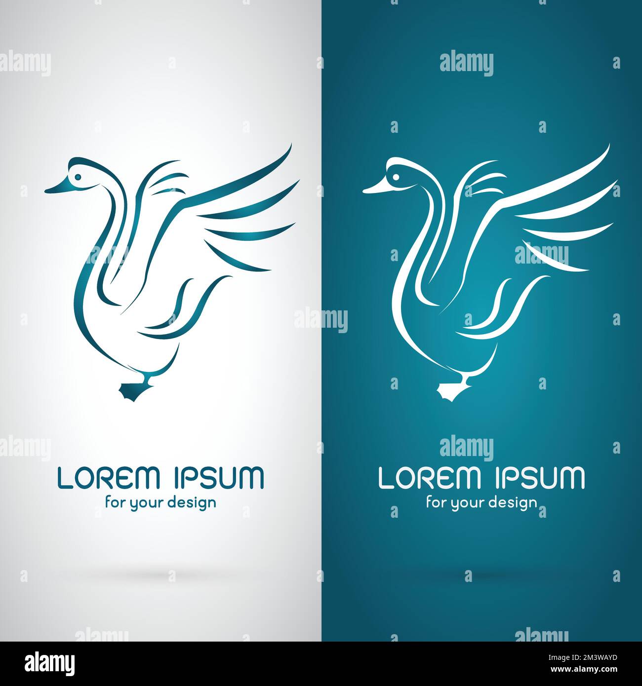 Vector of swan design on white background and blue background, Easy ...