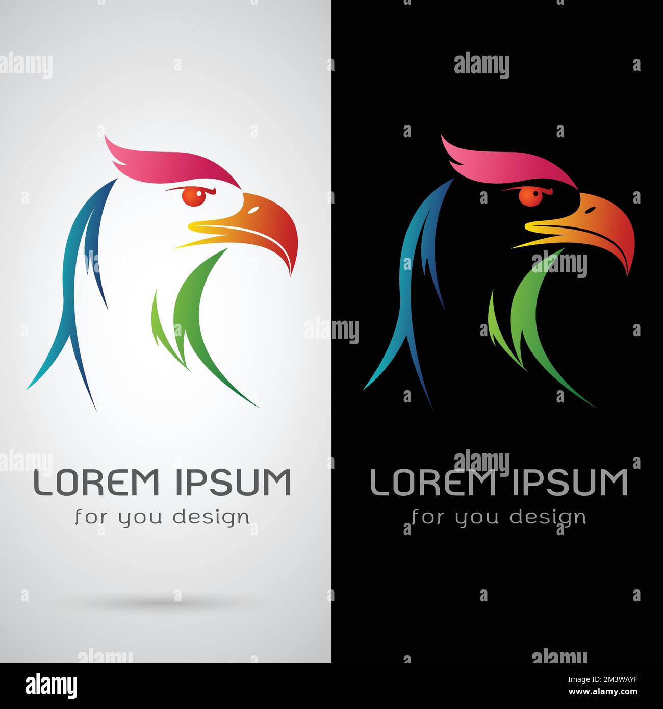 Vector of an eagle design on white background and black background ...