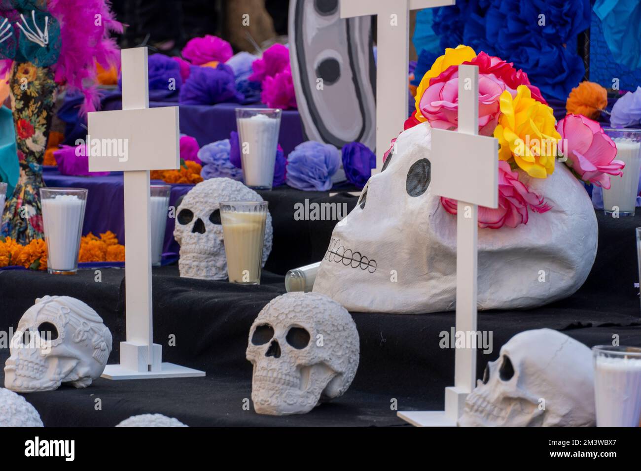 day of the dead altar, cempasuchil all over the floor in purple ...
