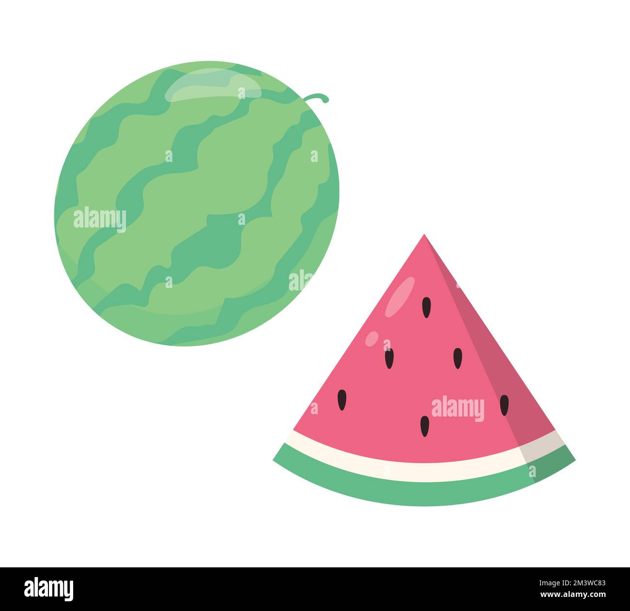 Watermelon flat cartoon vector illustration. Vegetarian and ecology ...