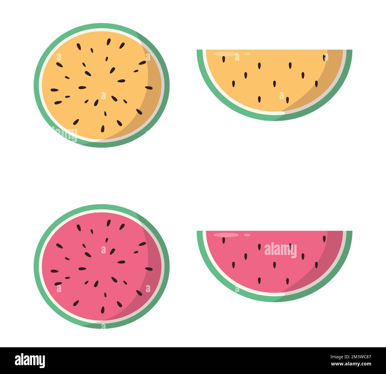 Fresh and tasty yellow and red watermelon fruit. Vegetarian and ecology ...