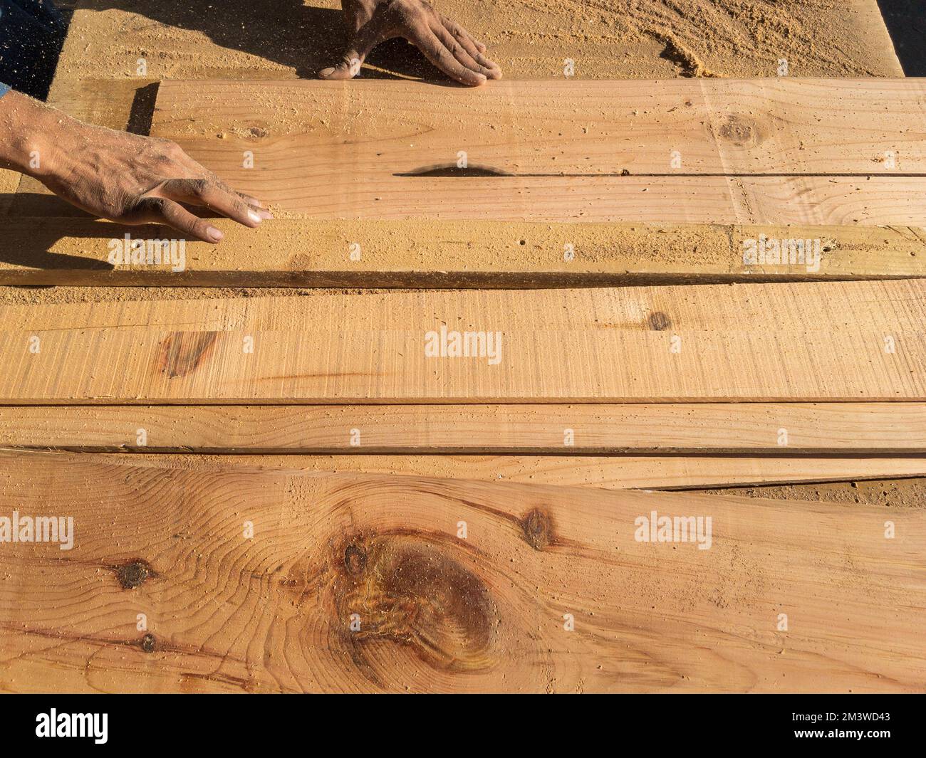 Sawing a plank of wood by a small sawmill in the workshop Stock Photo ...