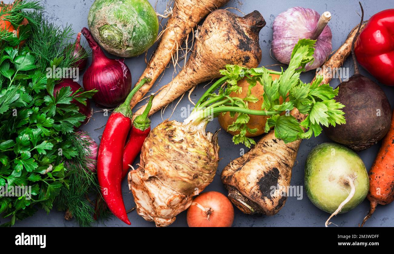 Food background with vegetables, root crops and herbs: celery, carrots ...