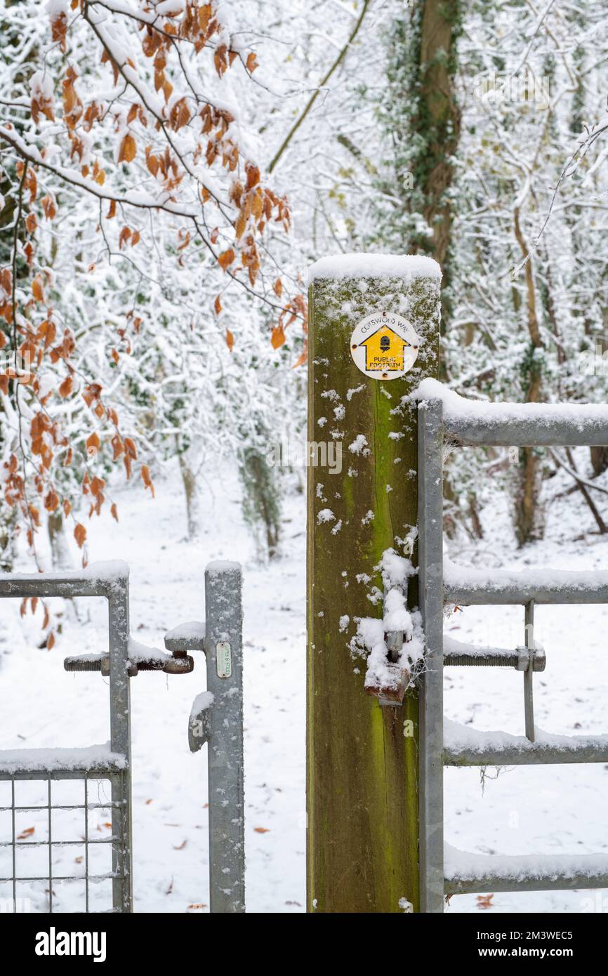 Cotswold Way sign on a gate in the snow. Broadway Hill, Cotswolds ...