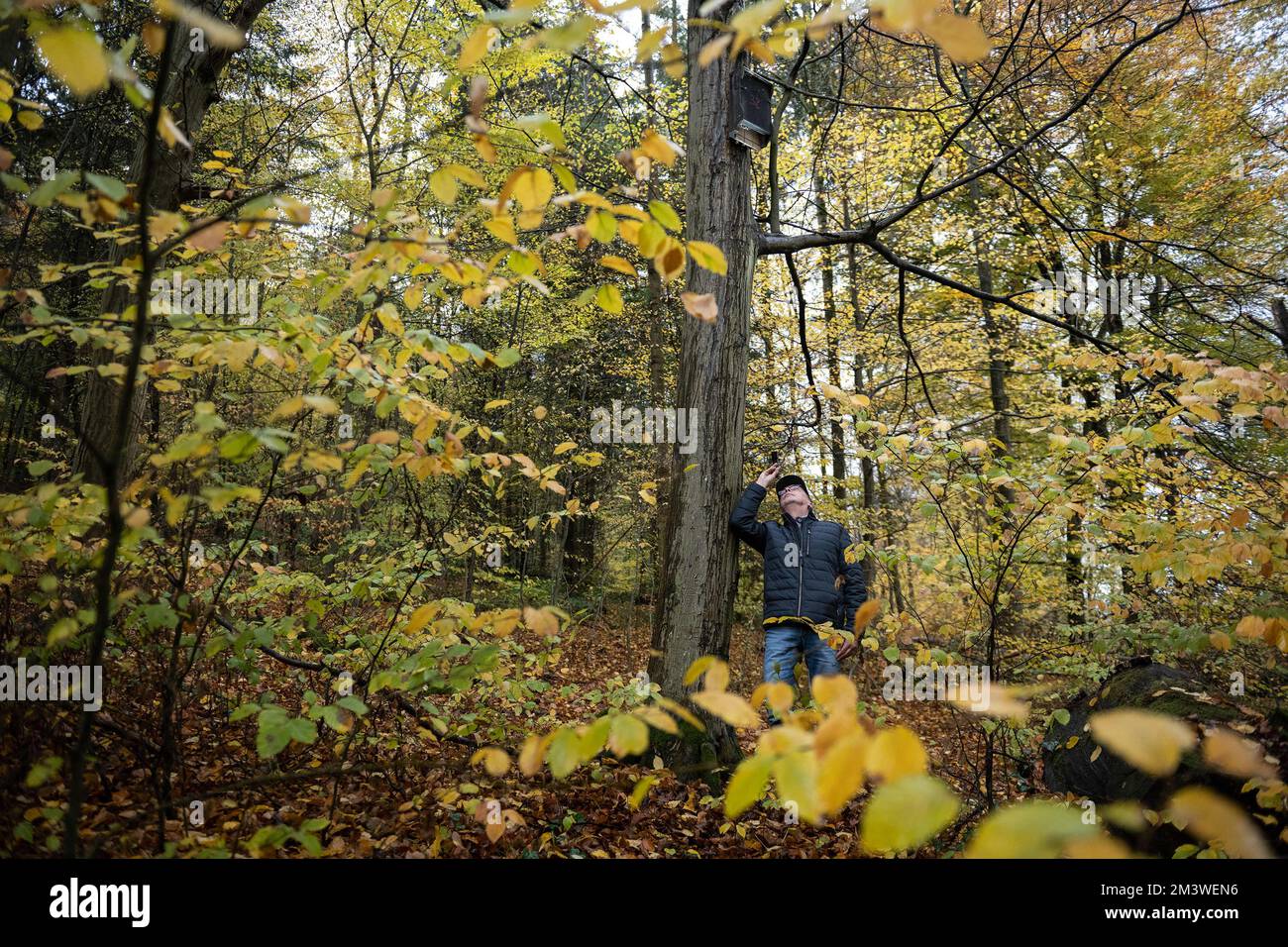 Rainer marcek hi-res stock photography and images - Alamy