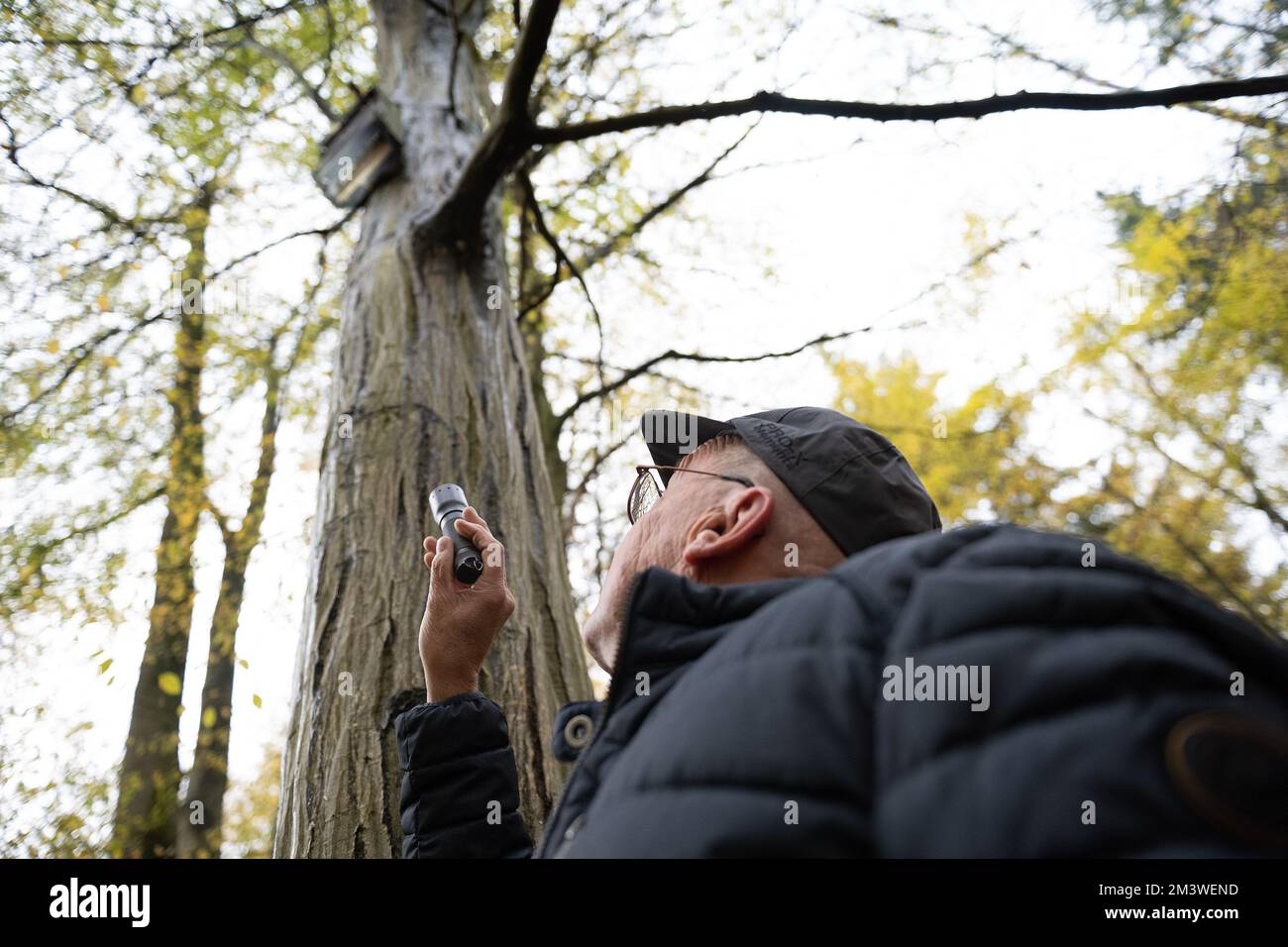 Rainer marcek hi-res stock photography and images - Alamy