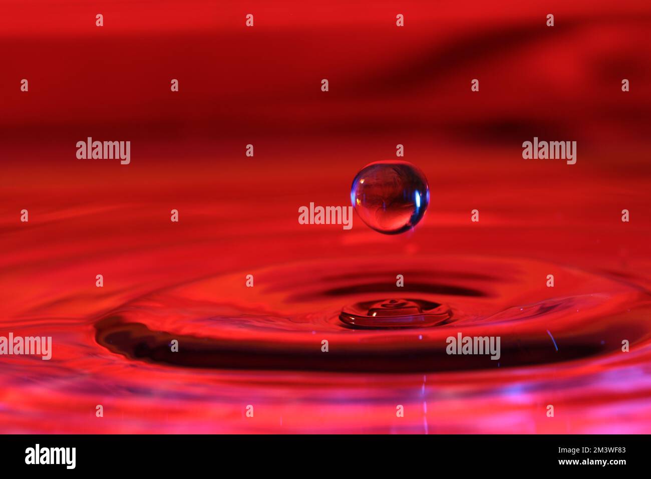 The water drop splashing into the surface of water illuminated with red ...