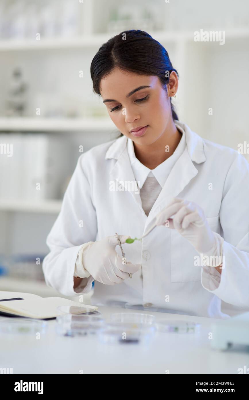 Just to snip and trim this before testing. a young scientist working ...