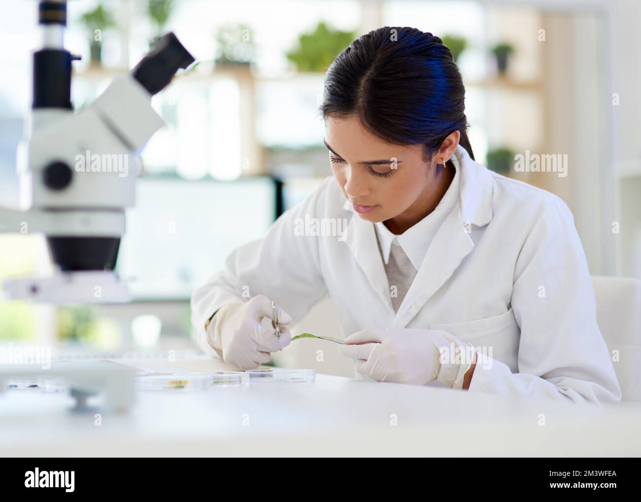 Ill cut off a small sample to test further. a young scientist working ...