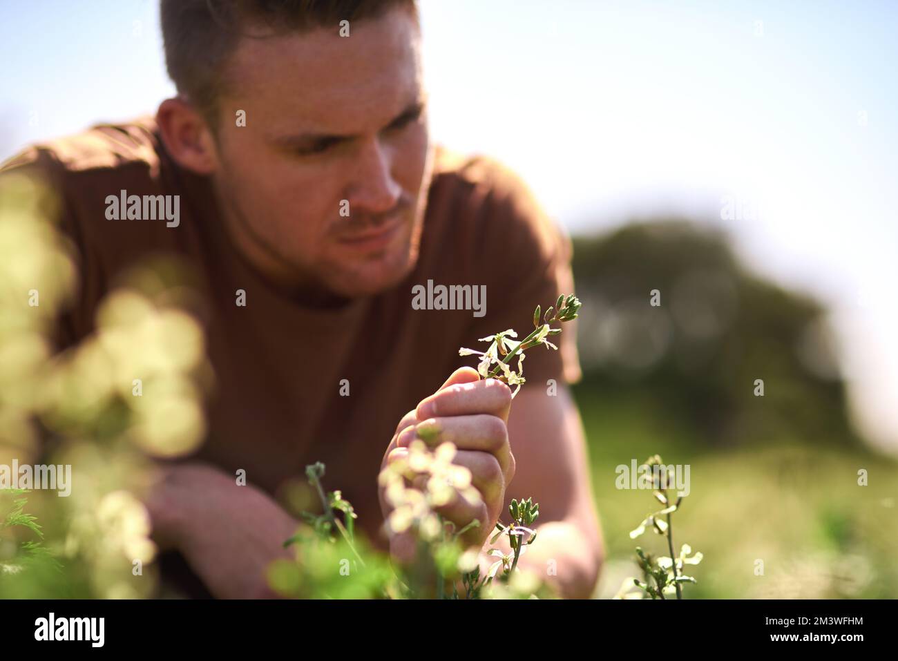 Have patience and watch great things grow. a young farmer looking at ...