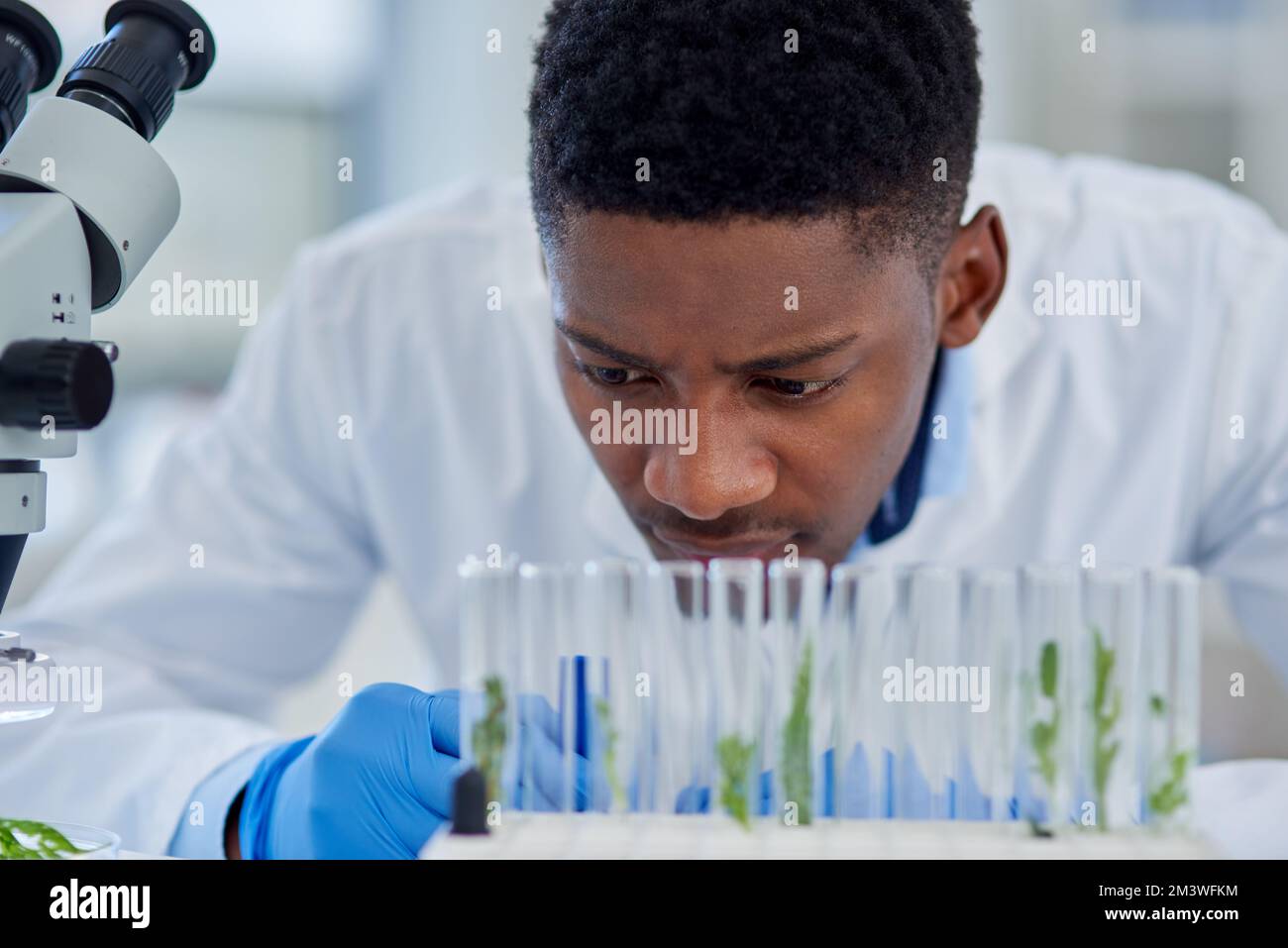 Just keep growing. a focused young male scientist observing plant based ...