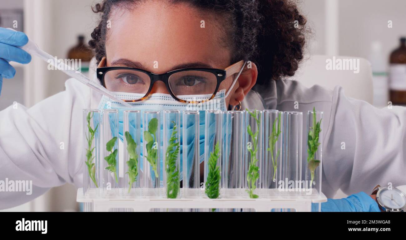 Closely observing the reactions of nature. a young scientist working ...