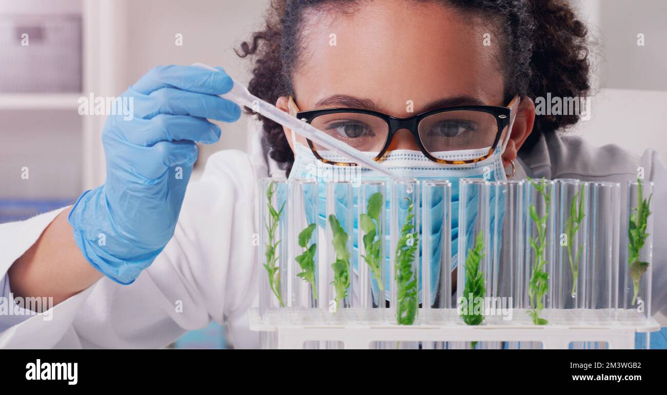 Making new discoveries in the world of botany. a young scientist ...